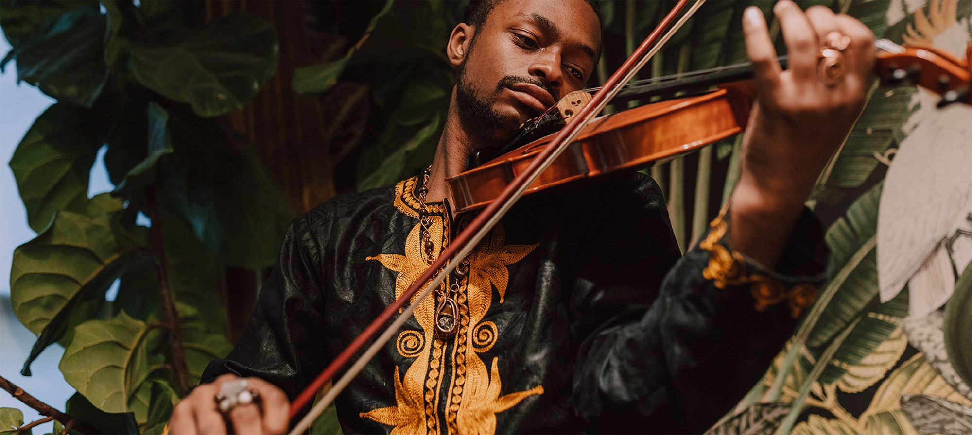 Musical Instrument Insurance | Insurance Coverage | Lark Music