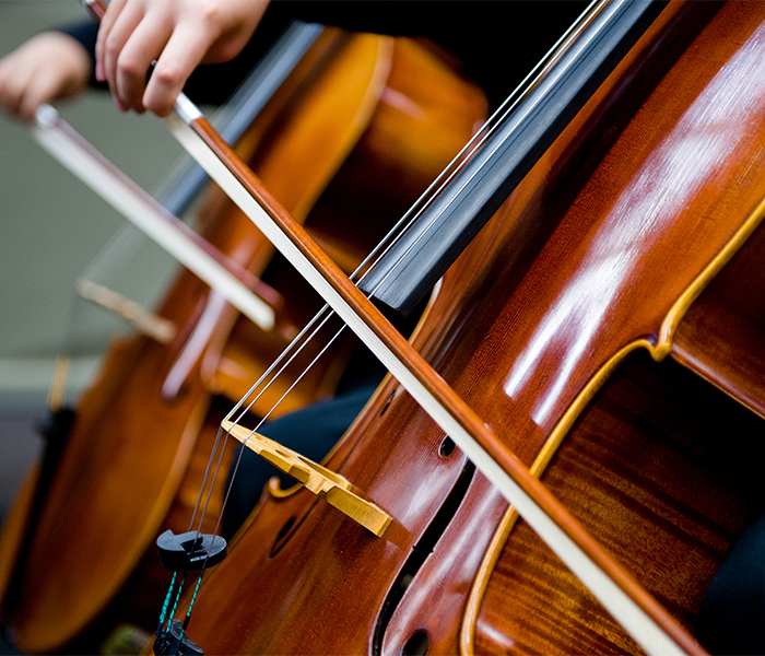 Hello to the Cello Facts | Lark Music
