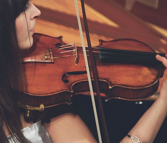 Top fascinating facts about the violin | Lark Music
