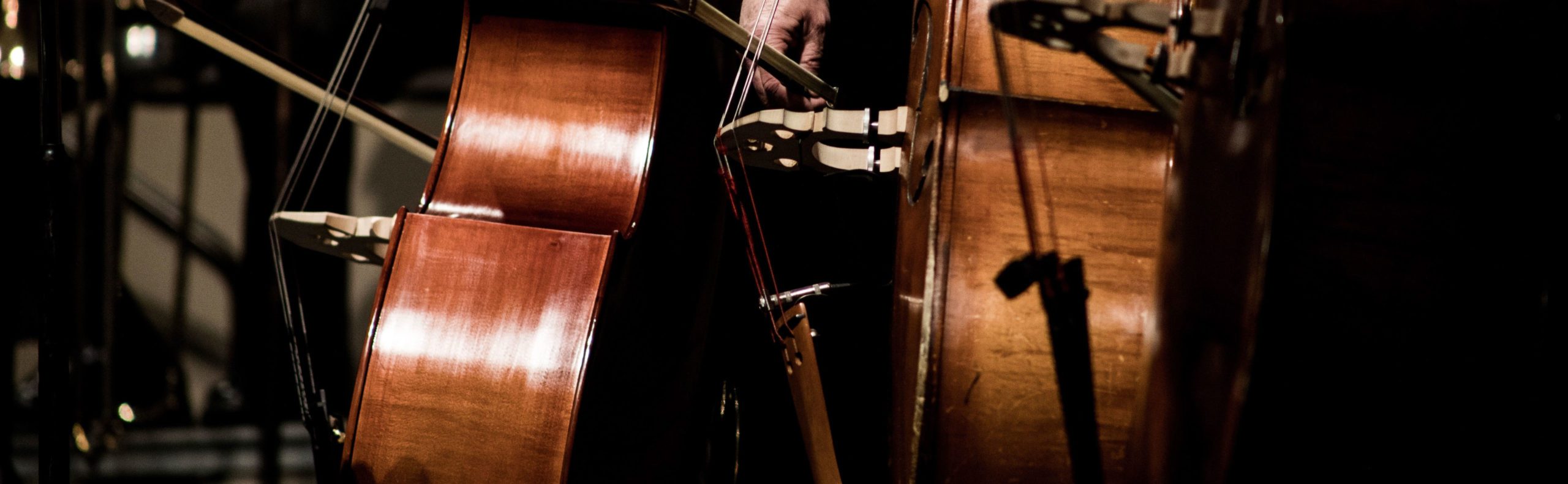 Cello Instrument Insurance | Strings & Bow Cover | Lark Music