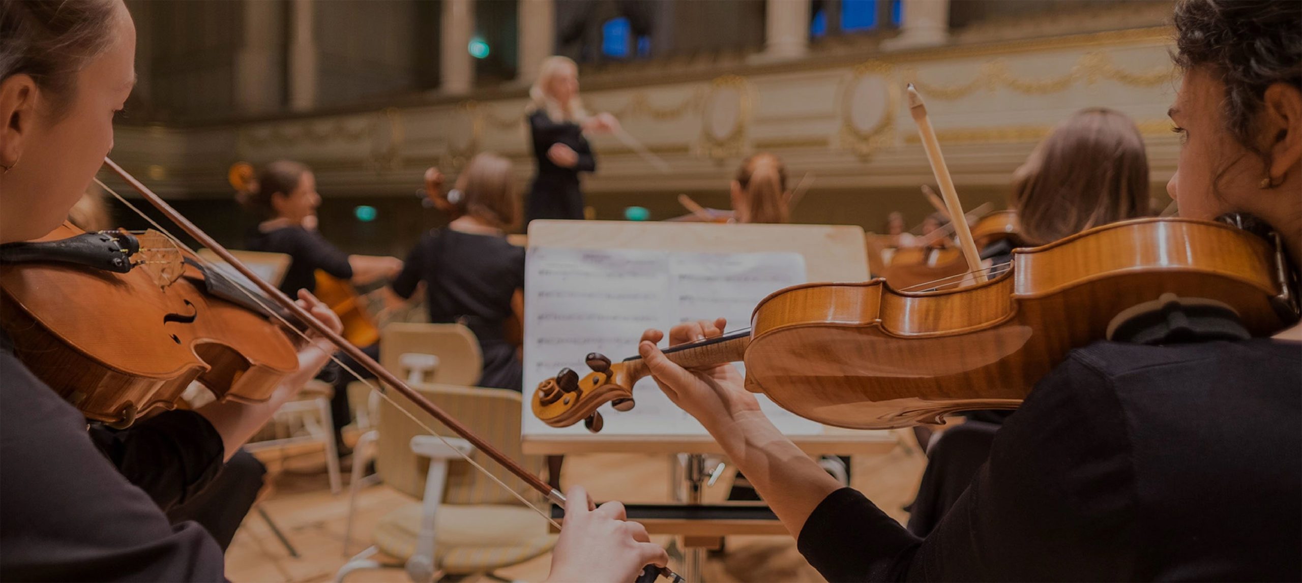 Insurance for Band & Orchestra Members | Musicians | Lark Music