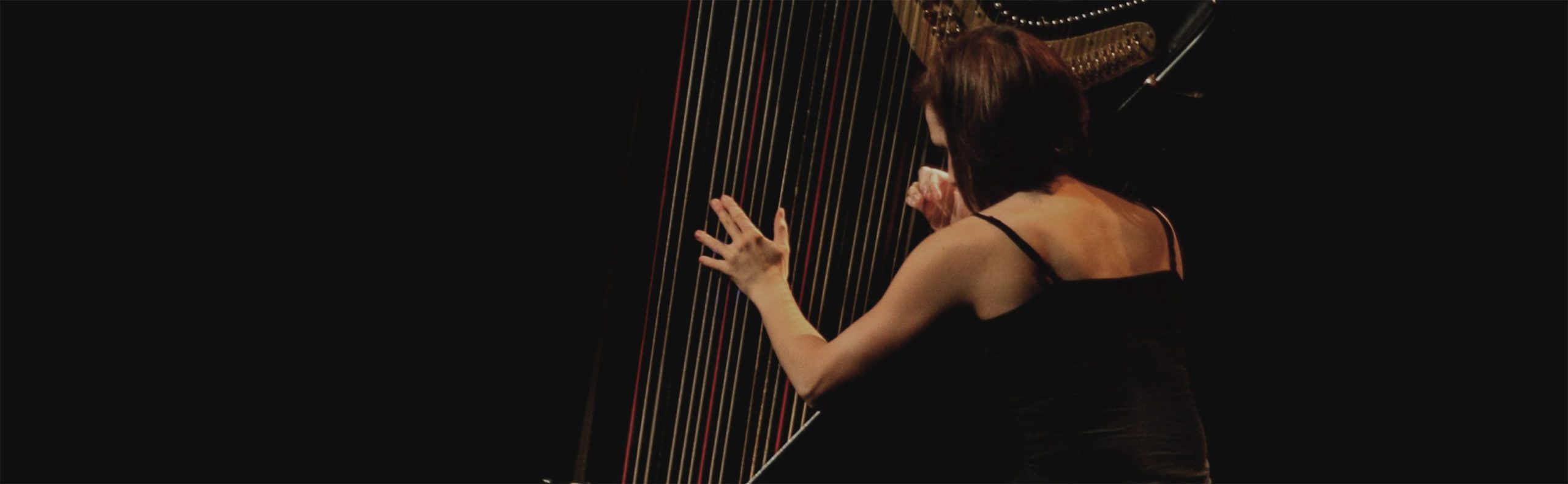 Harp Musical Instrument Insurance | Lark Music