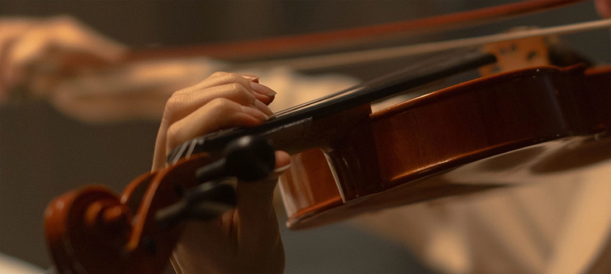 String Instrument Insurance, Guitar, Violin & Harp | Lark Music