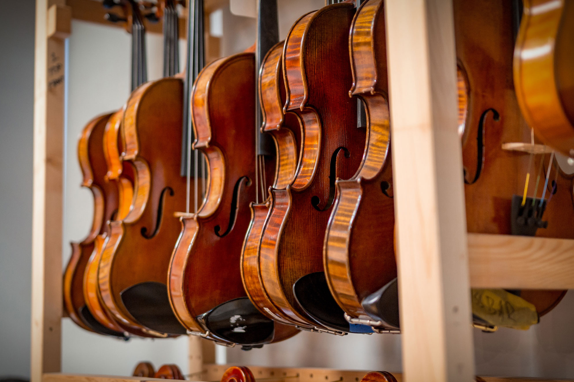 Violinsurance | Lark Music